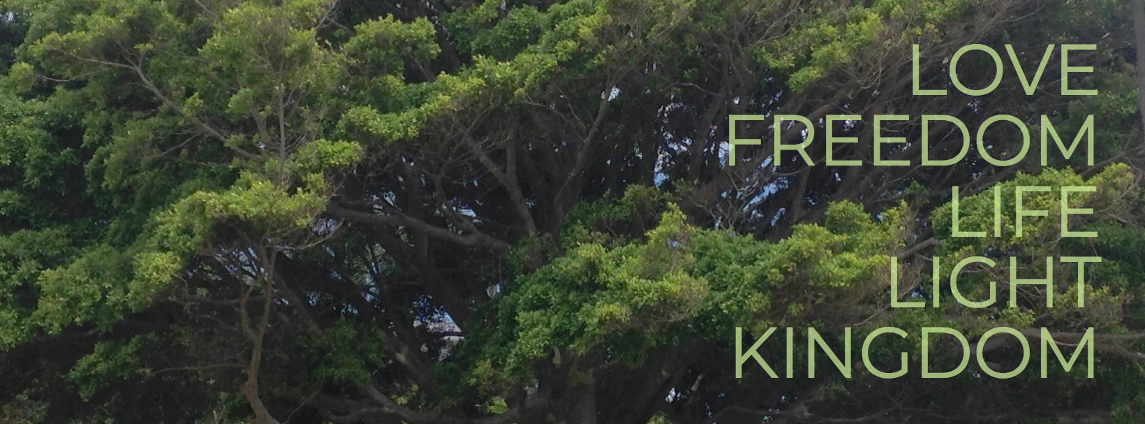 About Lifeway Church